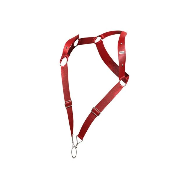Dngeon Straight Back Harness Cherry One Size | Male Q